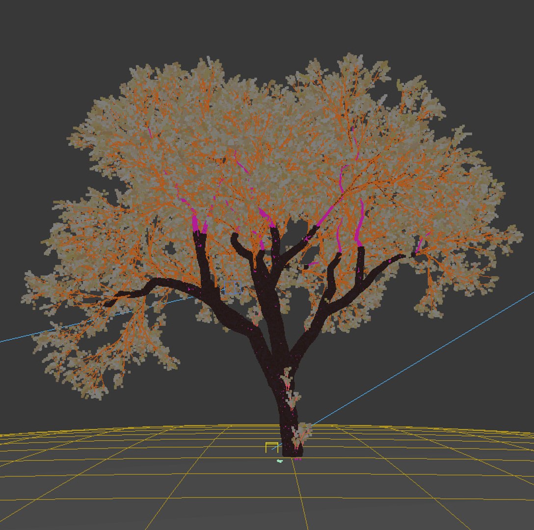 3d model jacaranda tree forest