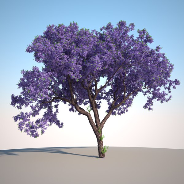 flowerg jacaranda tree 3d max