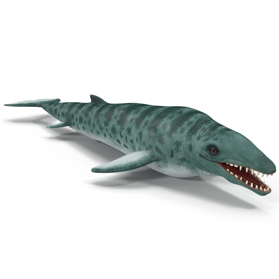 basilosaurus 3d max