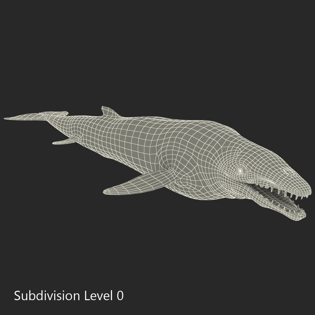 basilosaurus 3d max
