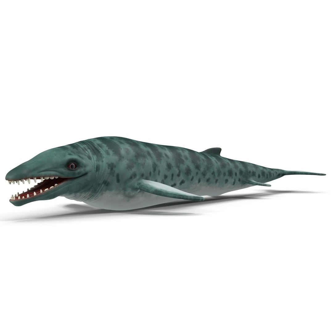 Basilosaurus 3d Max