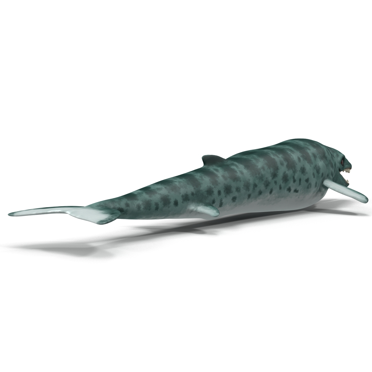 basilosaurus 3d max