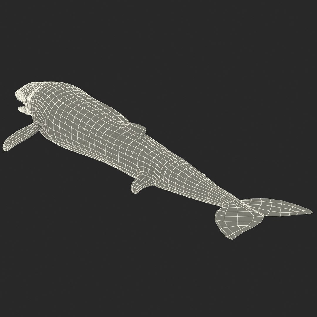 Basilosaurus 3d Max