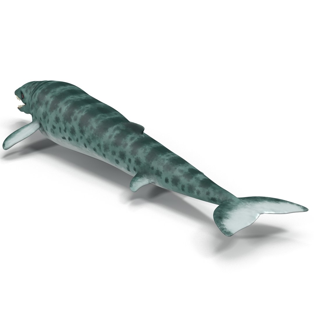 Basilosaurus 3d Max