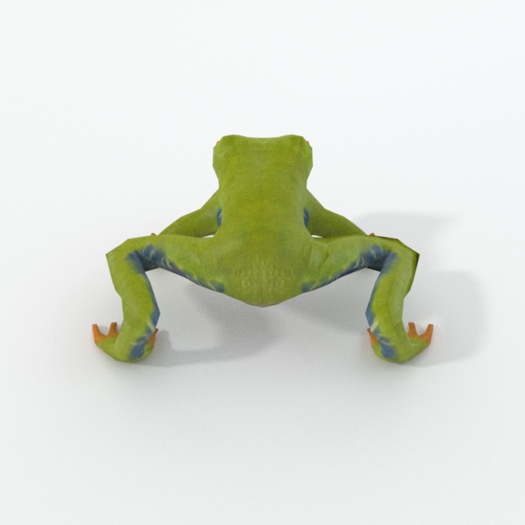 3D Model Green Frog Red Eyes - TurboSquid 1340469