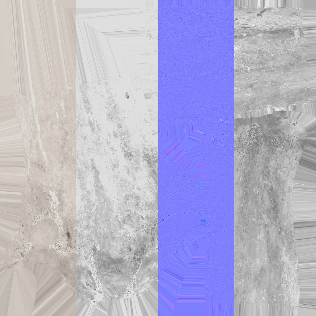 Human Ulna Bone 01 3D Model - TurboSquid 1542108