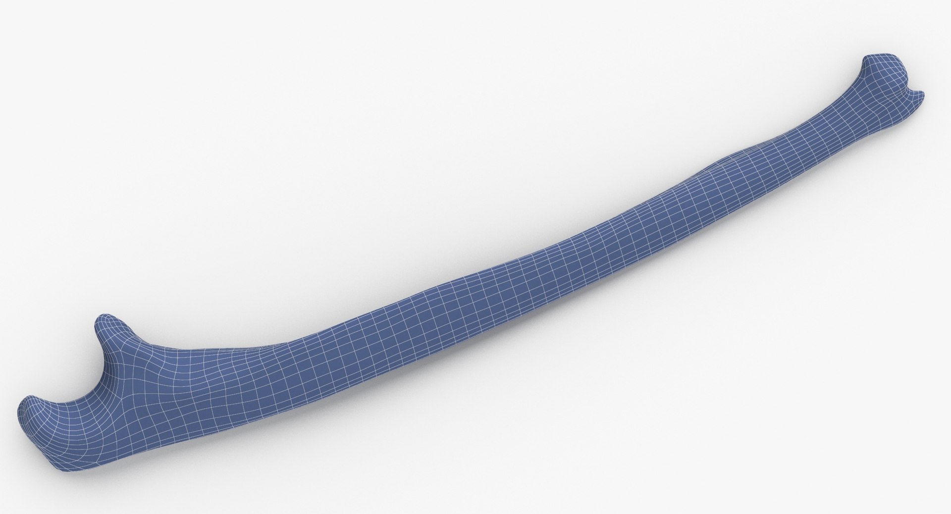 Human Ulna Bone 01 3D Model - TurboSquid 1542108