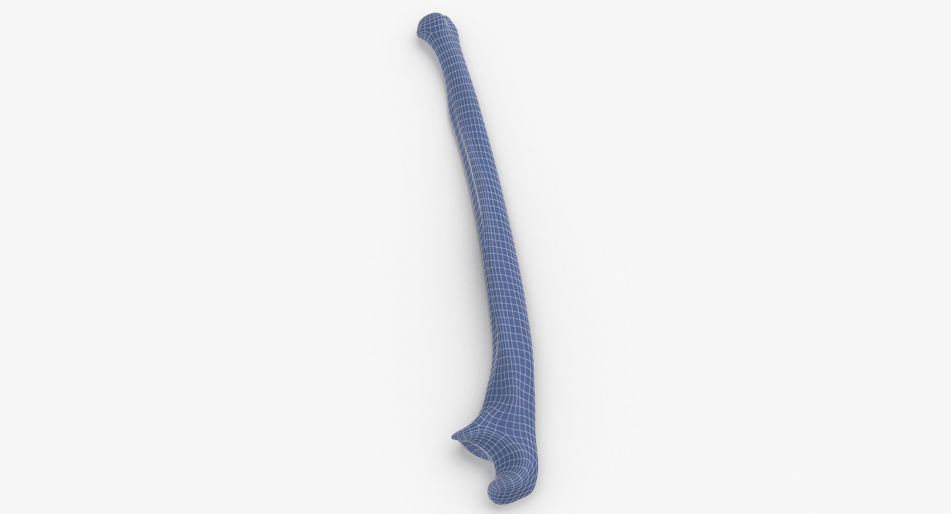 Human Ulna Bone 01 3D Model - TurboSquid 1542108