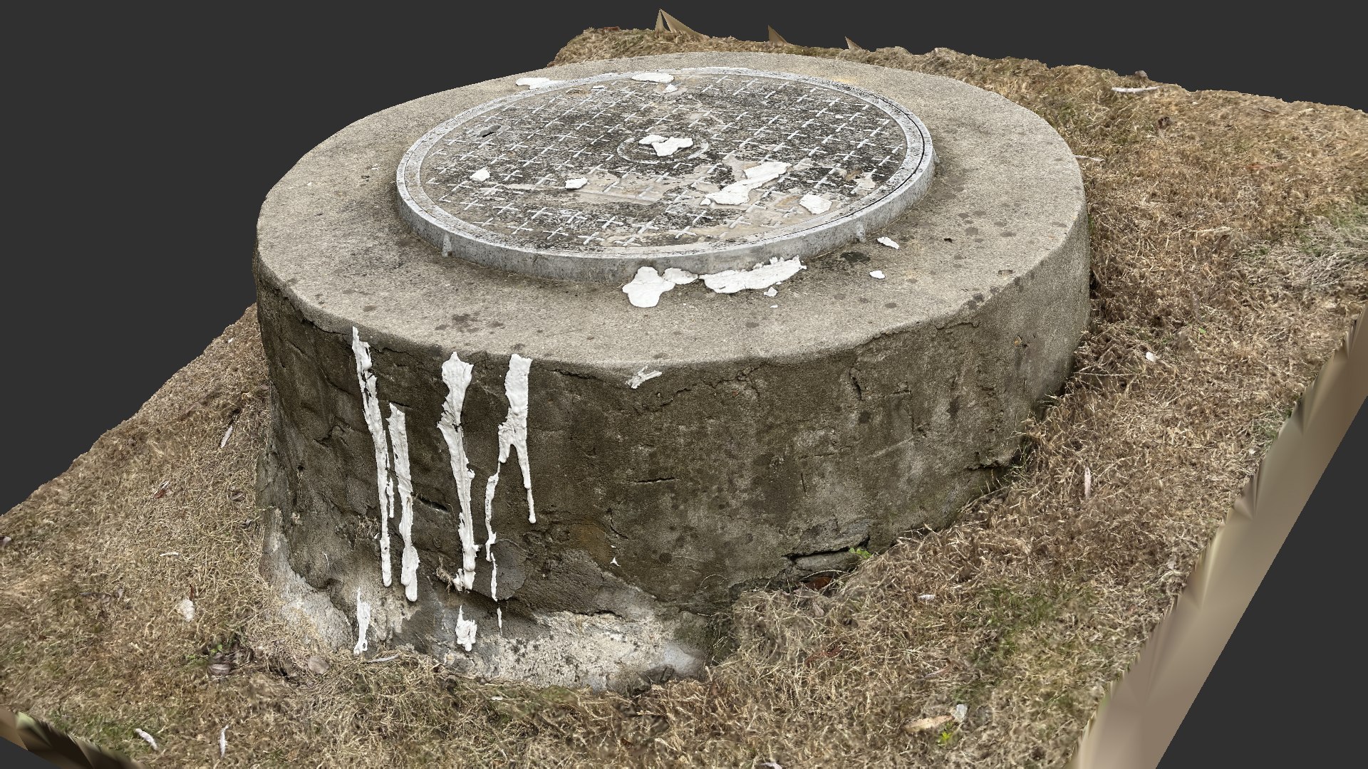 Manhole 3d Scan 3D model - TurboSquid 1991442