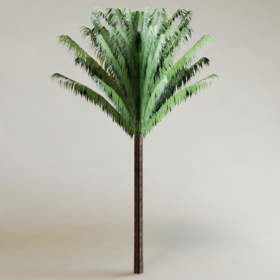Palms Vol1 3ds