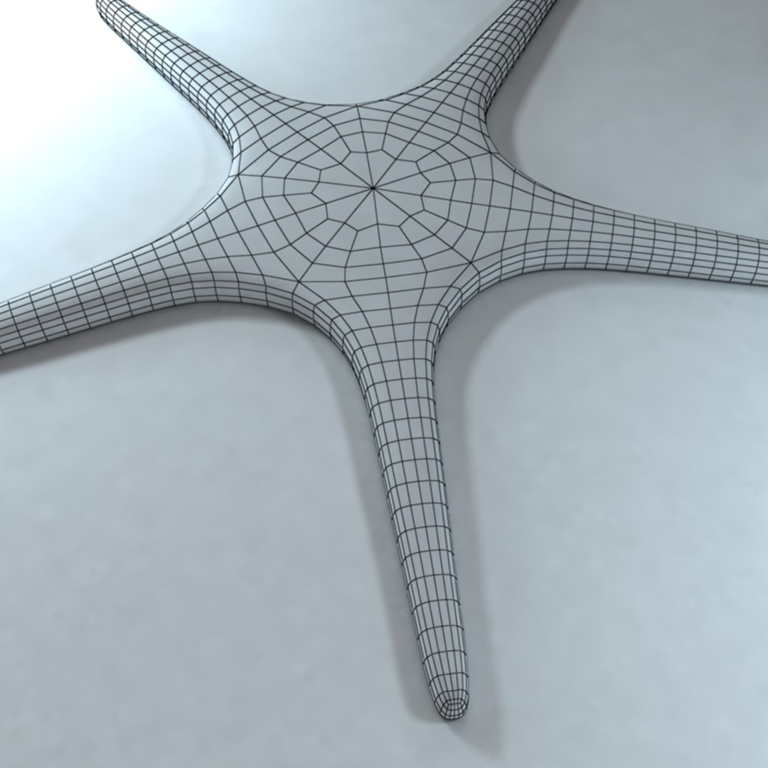 3d Mosaic Starfish