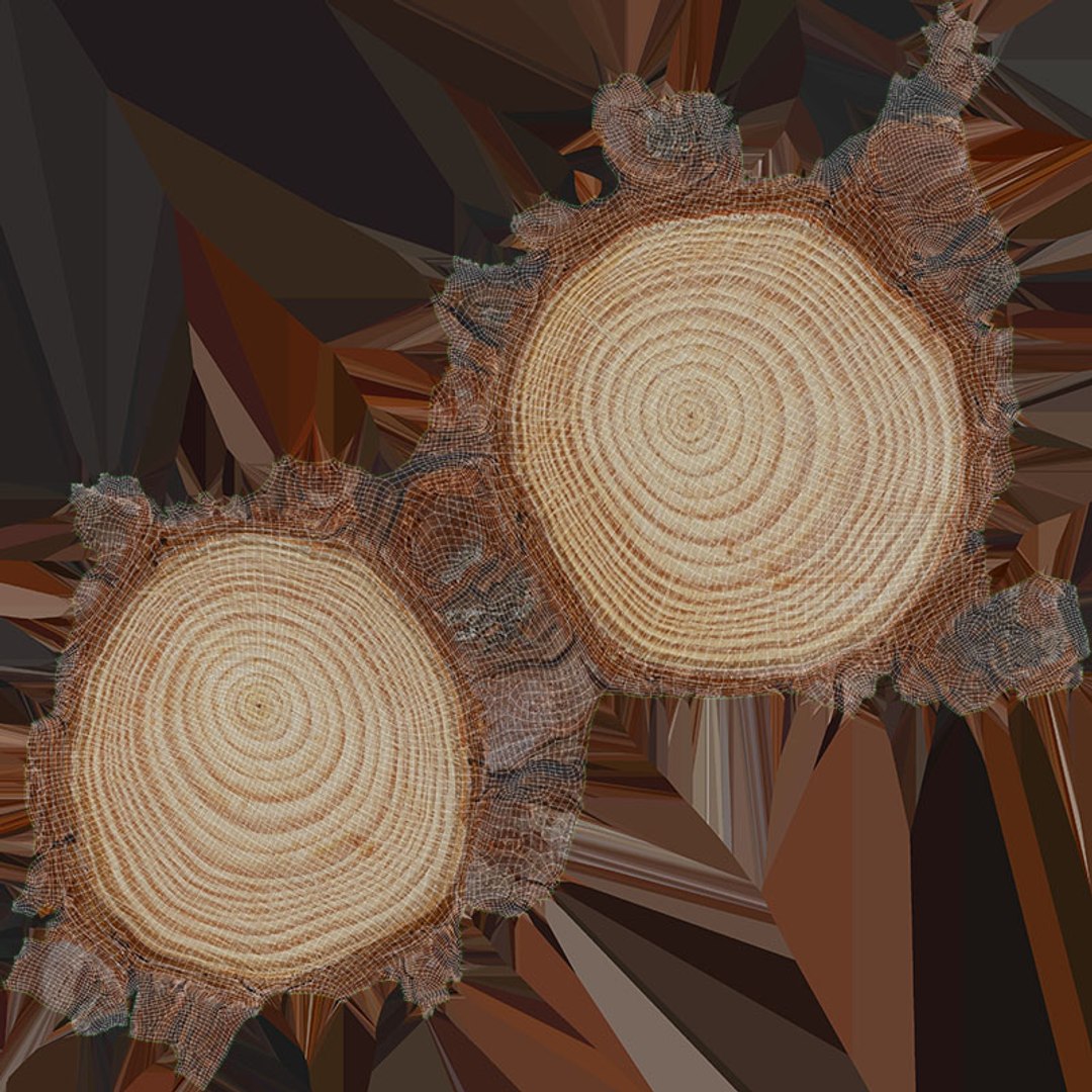 Wood Slices 3D Model - TurboSquid 2293356