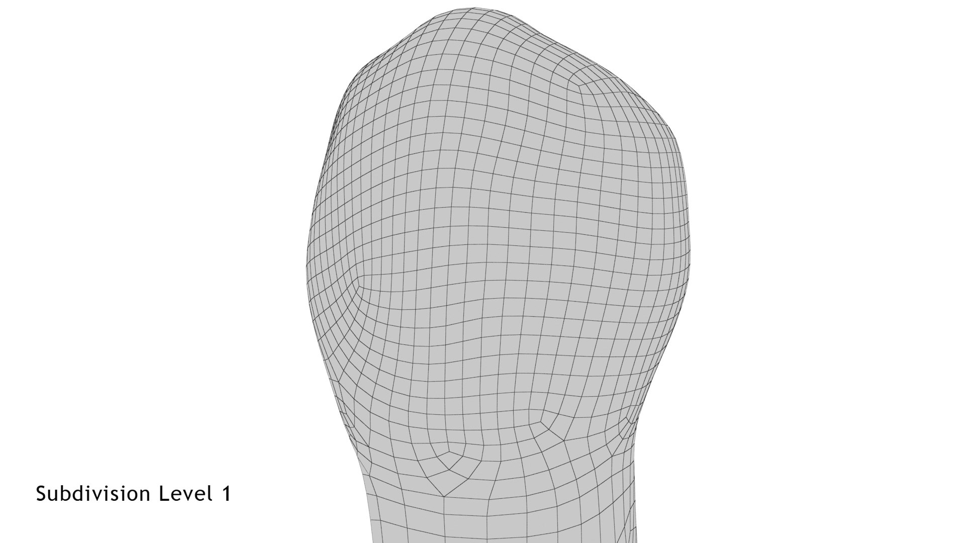 3D human teeth lower second model - TurboSquid 1552810