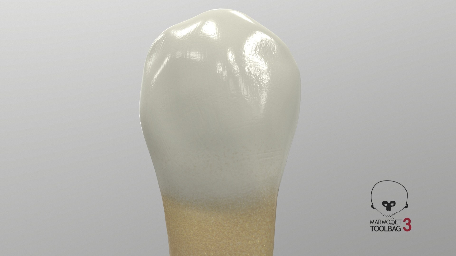 3D human teeth lower second model - TurboSquid 1552810