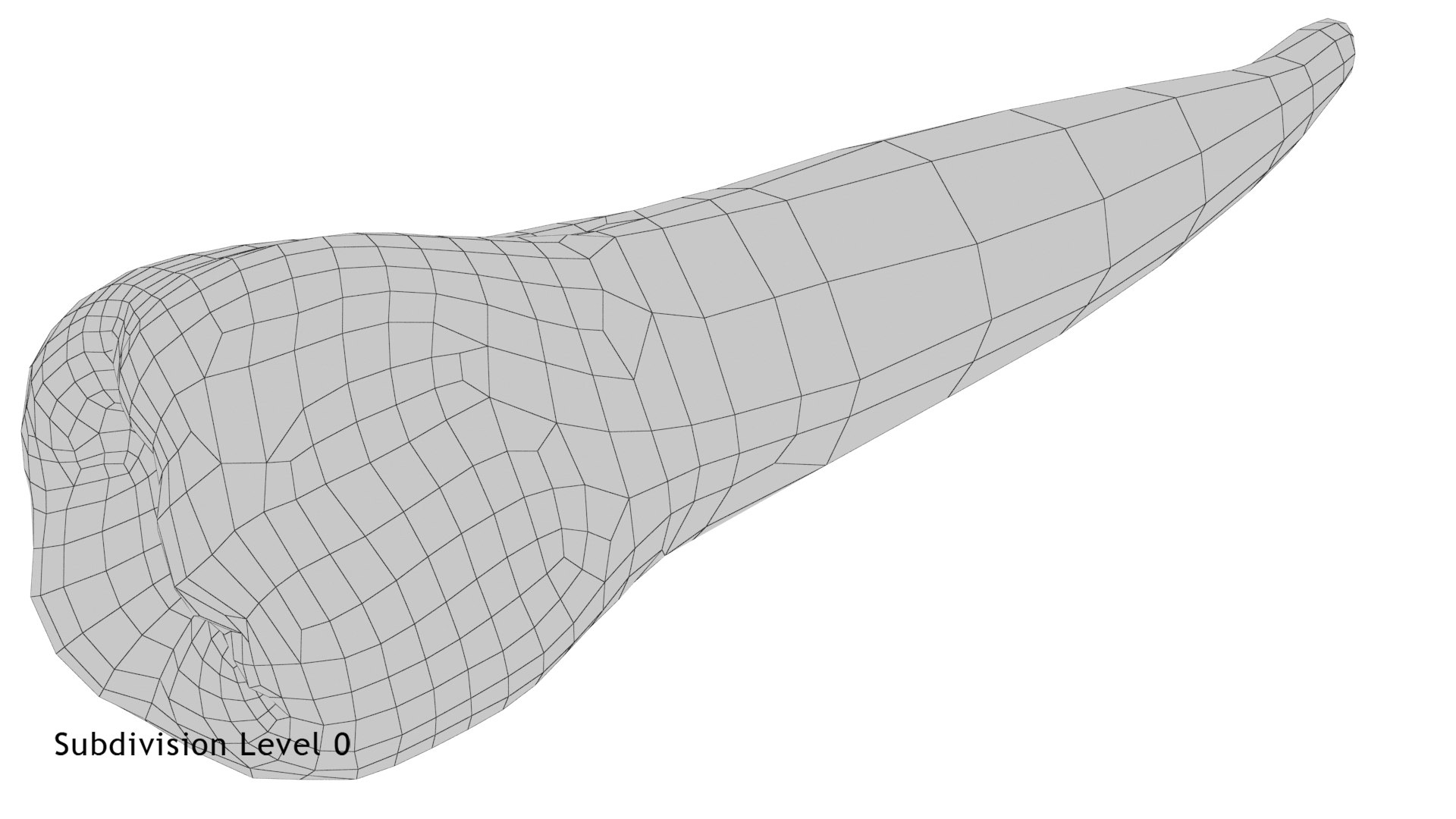 3D human teeth lower second model - TurboSquid 1552810