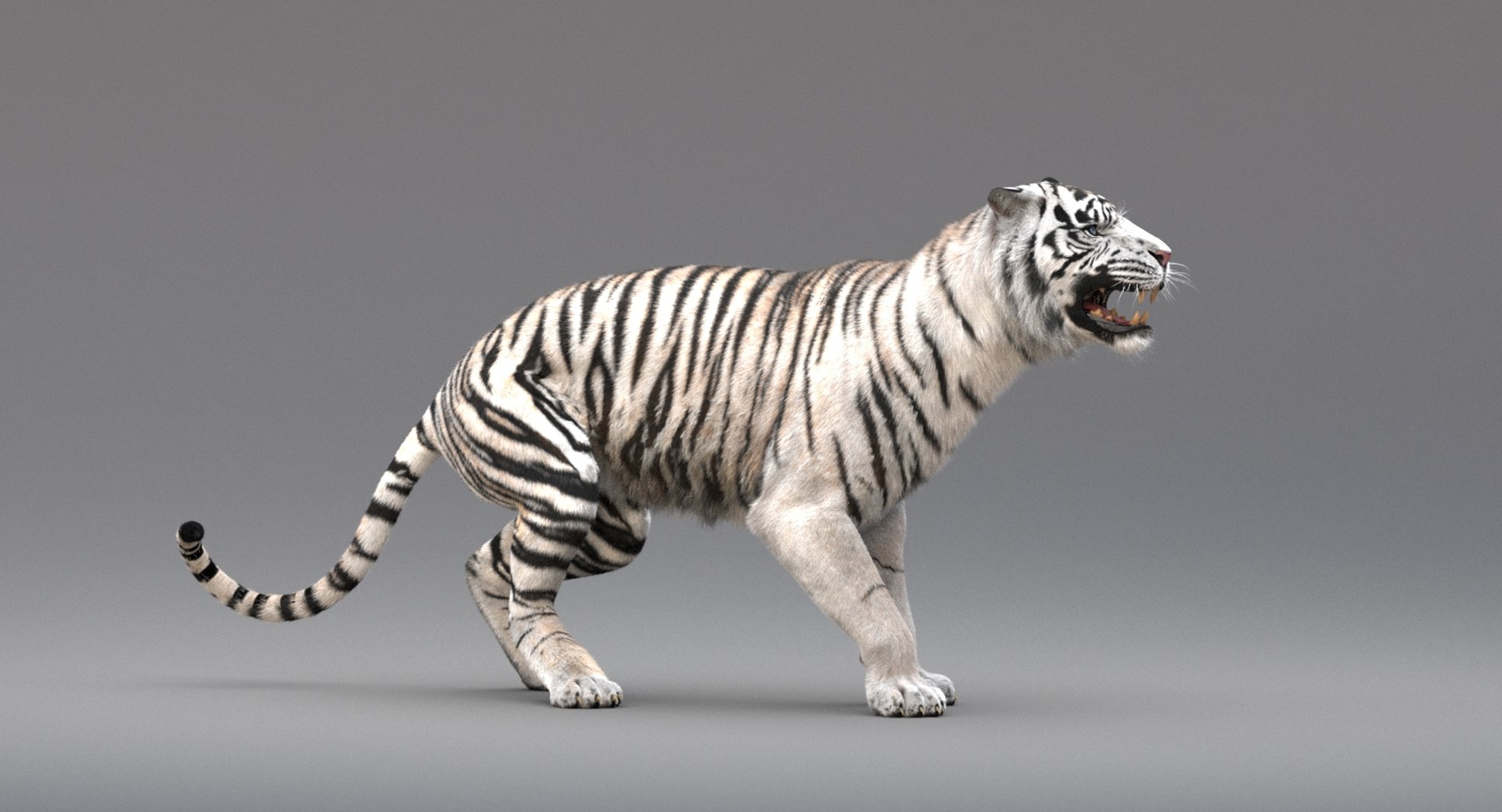 3D realistic tiger fur animation teeth - TurboSquid 1250865