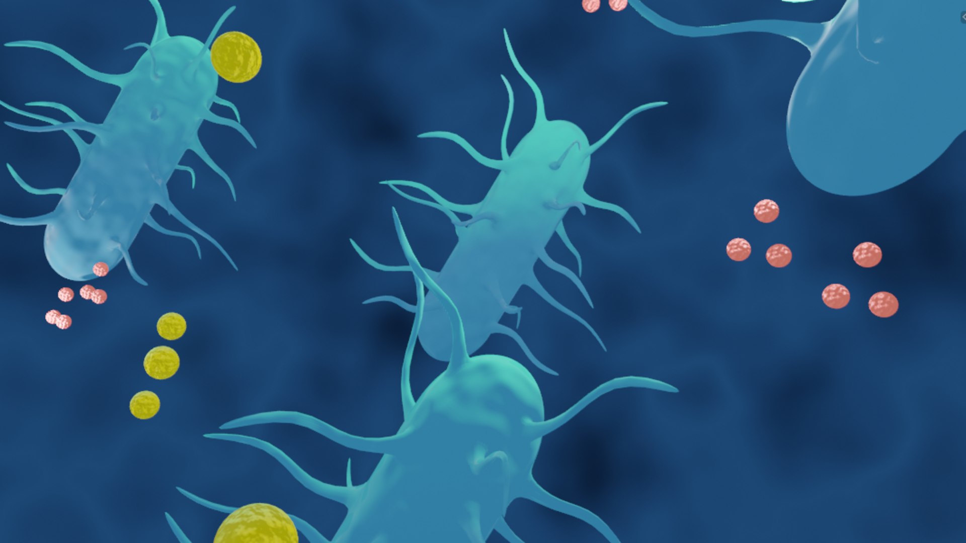 Bacteria 3D model - TurboSquid 1726166