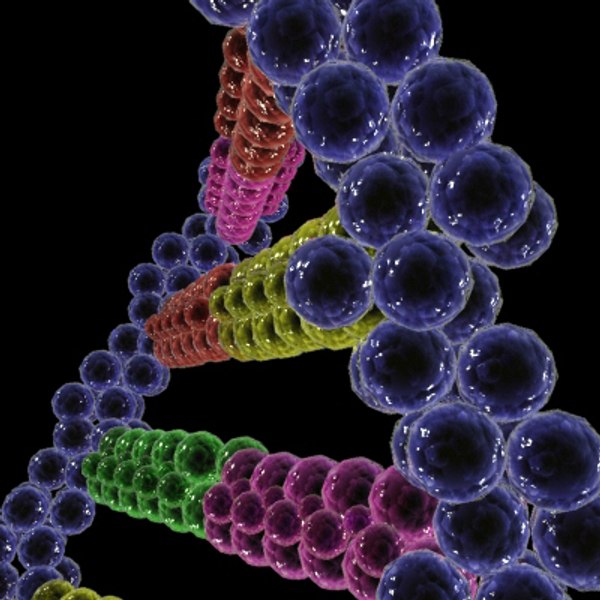 dna helix 3d model