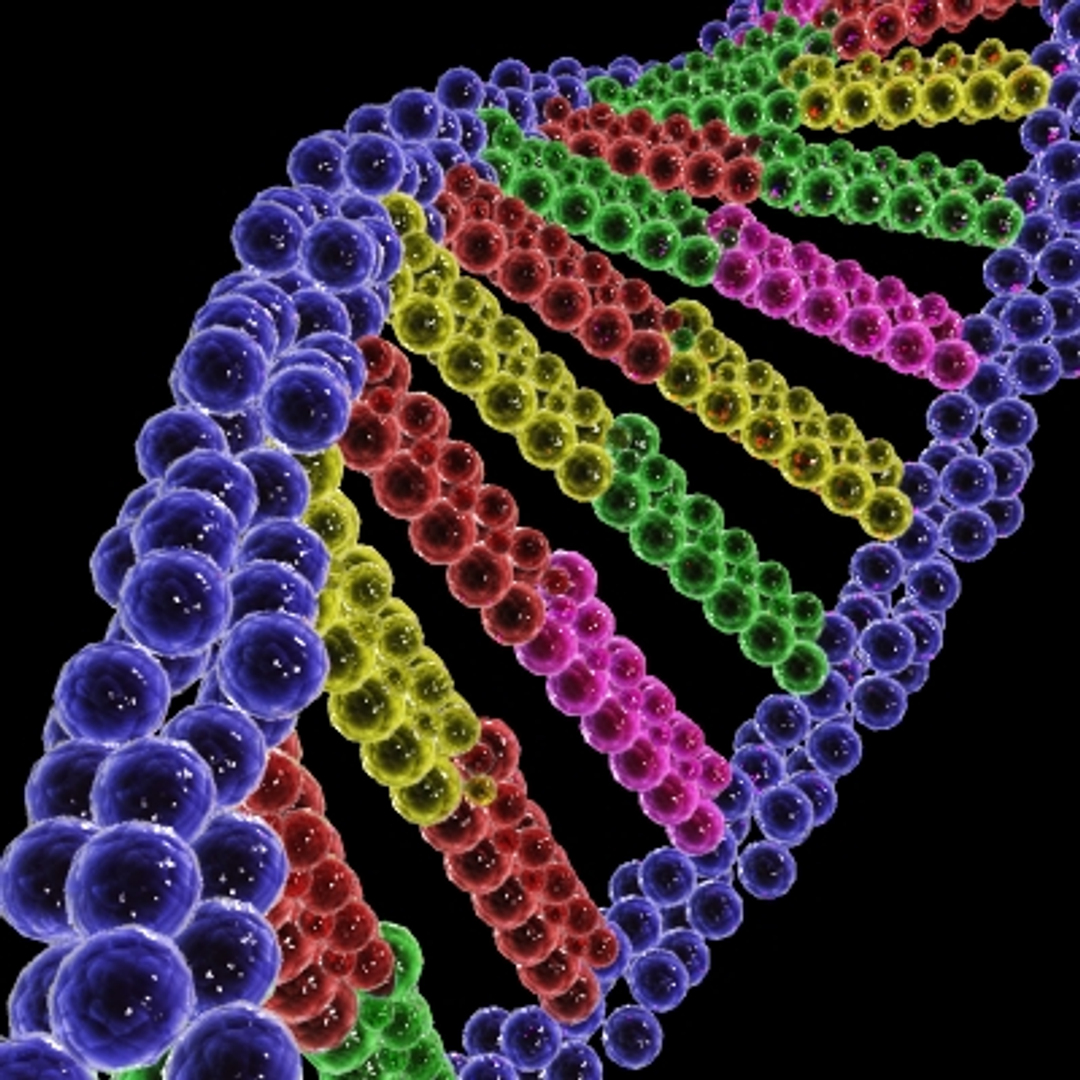 dna helix 3d model