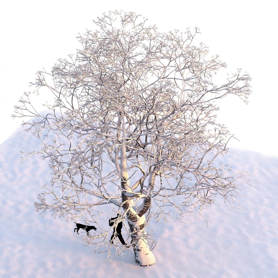 winter tree 3d model