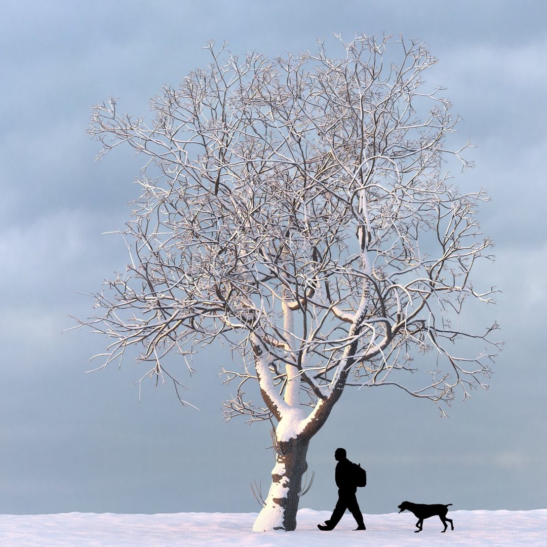 winter tree 3d model