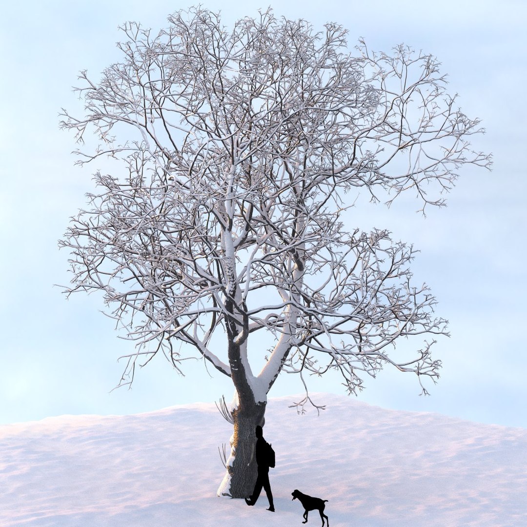 winter tree 3d model