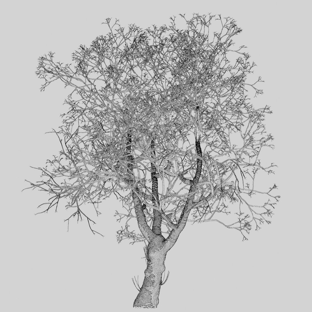 winter tree 3d model
