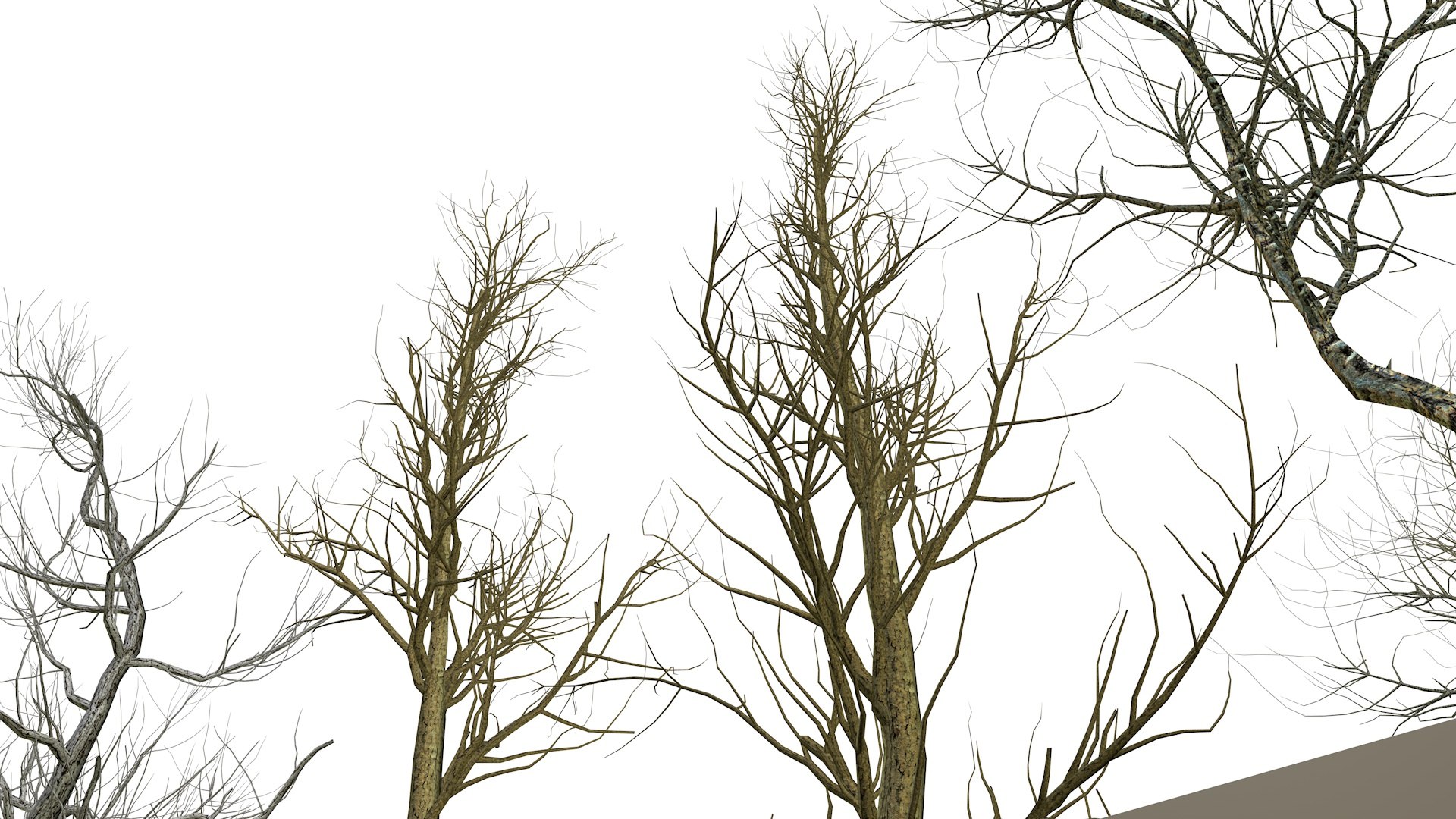 Bare Tree 3D Model - TurboSquid 1693445