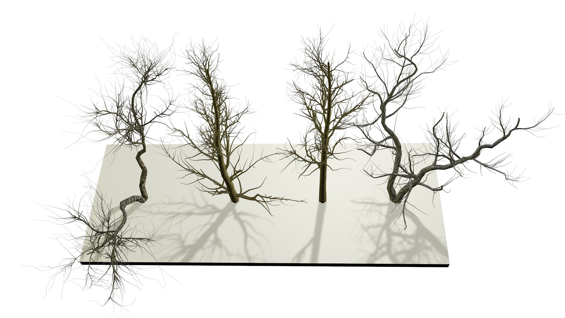 Bare Tree 3D Model - TurboSquid 1693445