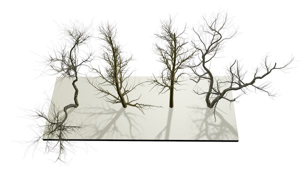 Bare tree 3D model - TurboSquid 1693445