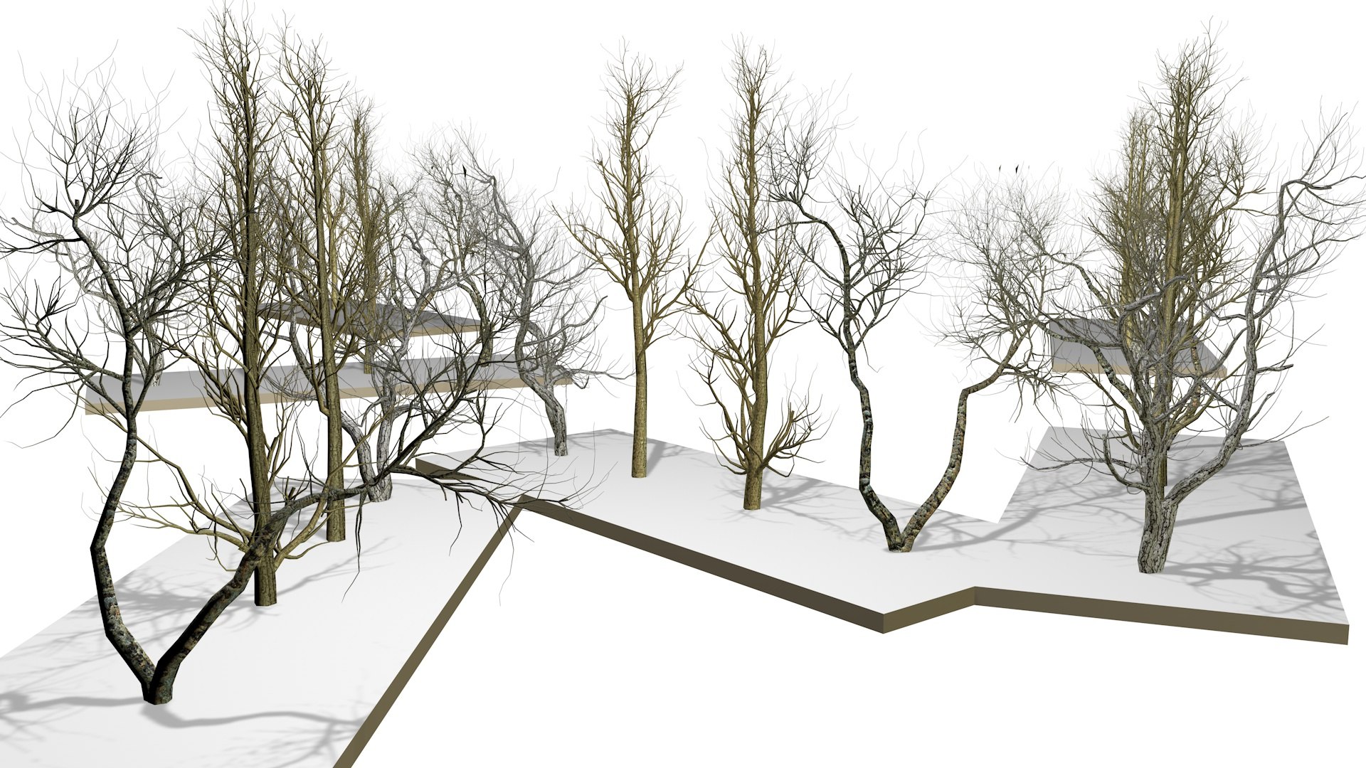 Bare Tree 3D Model - TurboSquid 1693445