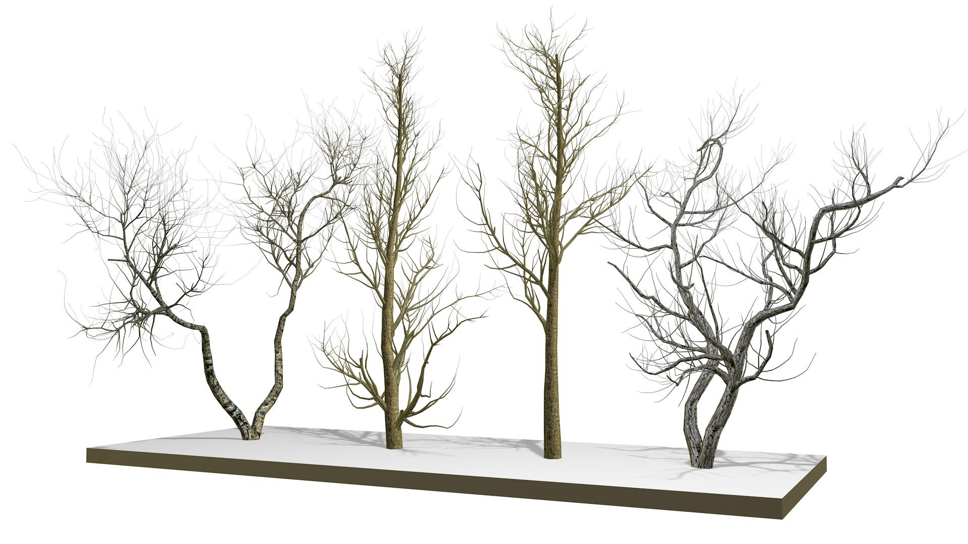 Bare Tree 3D Model - TurboSquid 1693445