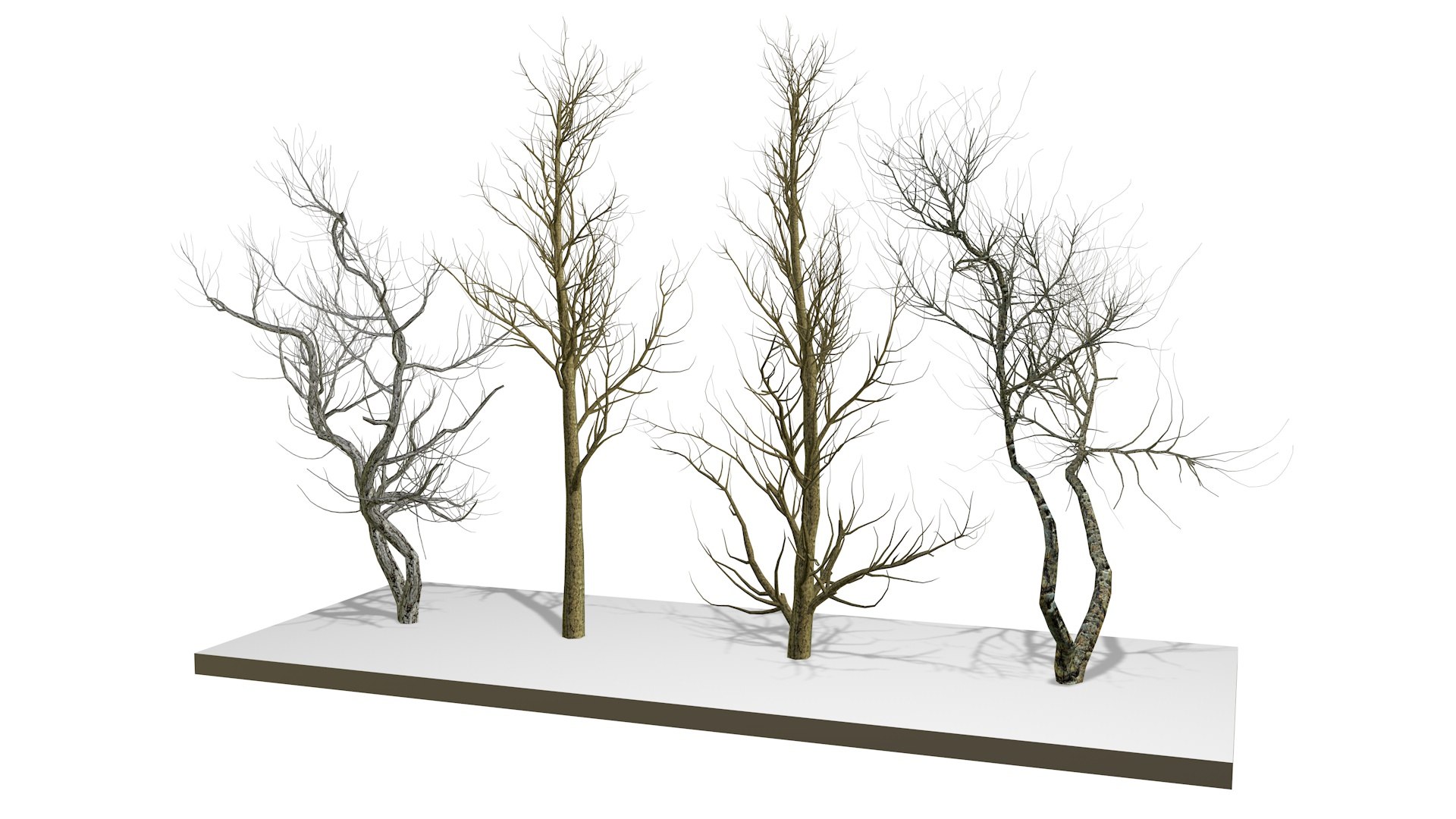 Bare Tree 3D Model - TurboSquid 1693445