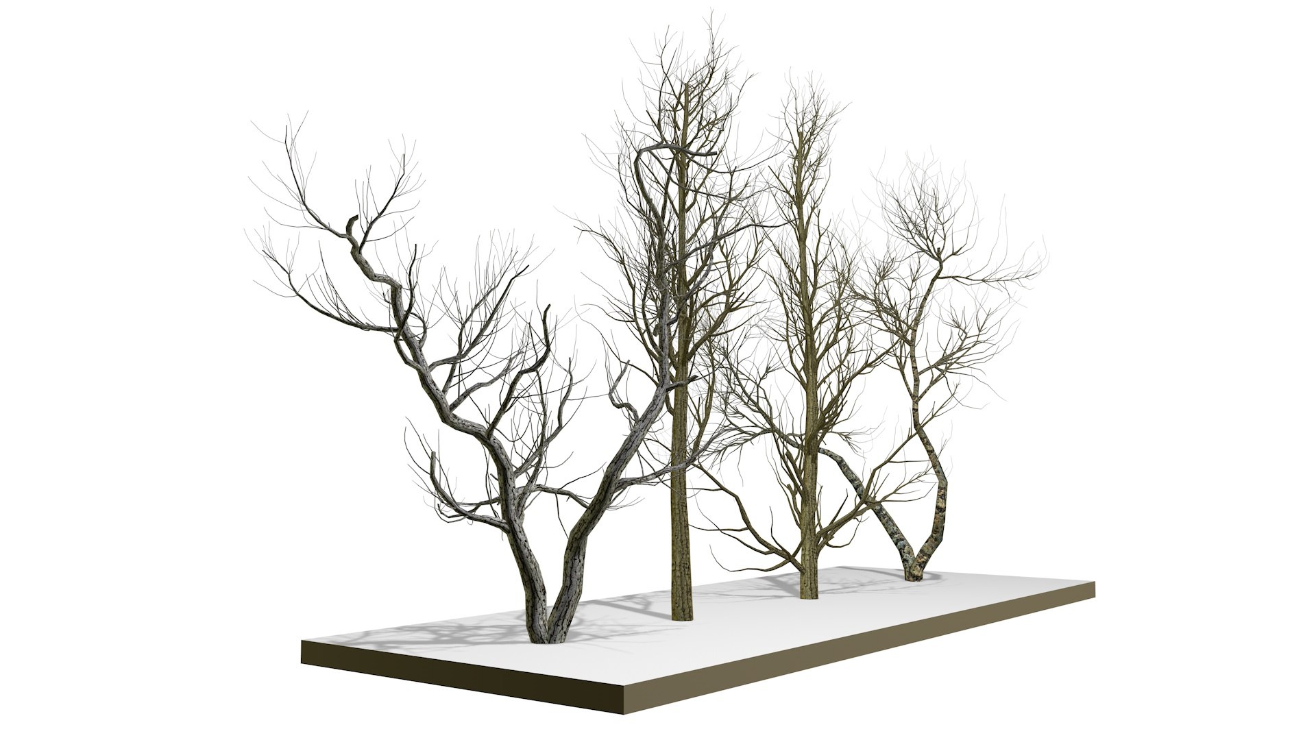 Bare Tree 3D Model - TurboSquid 1693445
