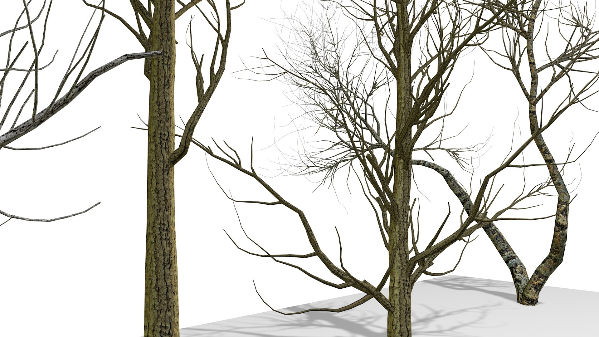 Bare Tree 3D Model - TurboSquid 1693445