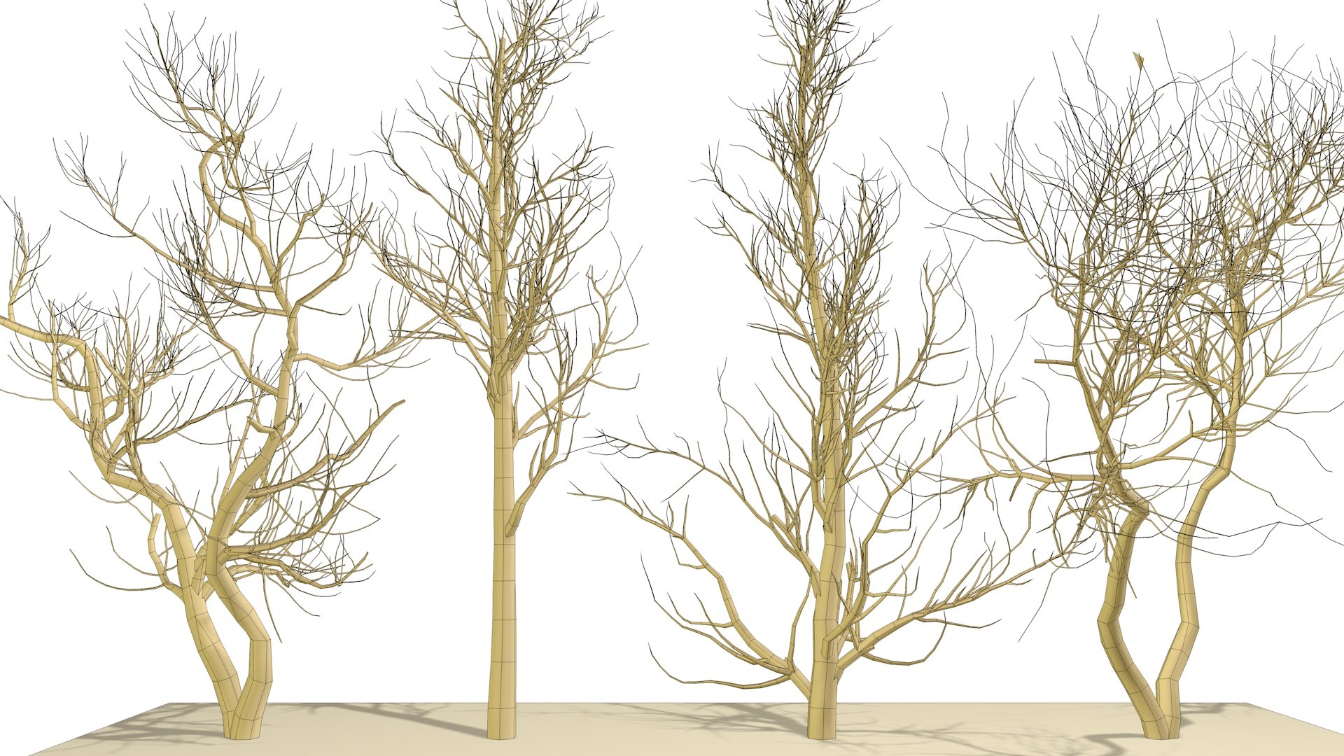 Bare Tree 3D Model - TurboSquid 1693445