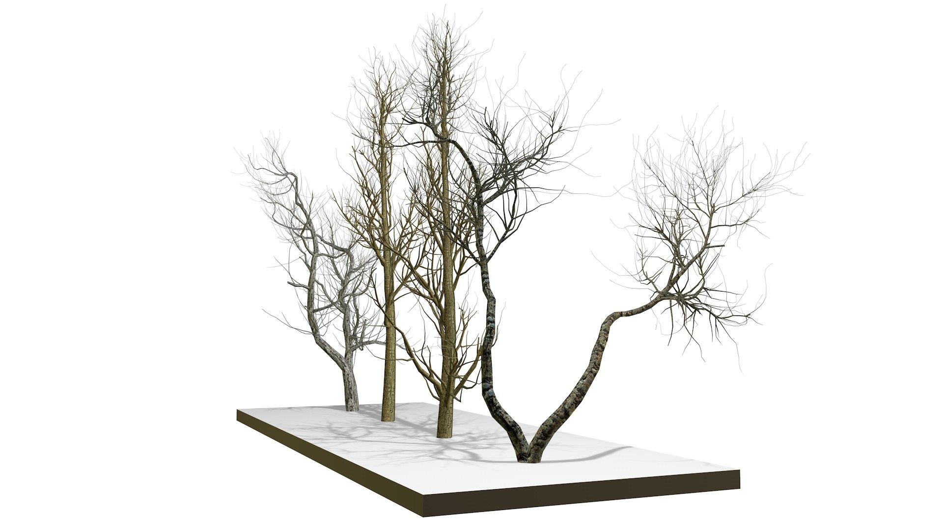 Bare Tree 3D Model - TurboSquid 1693445