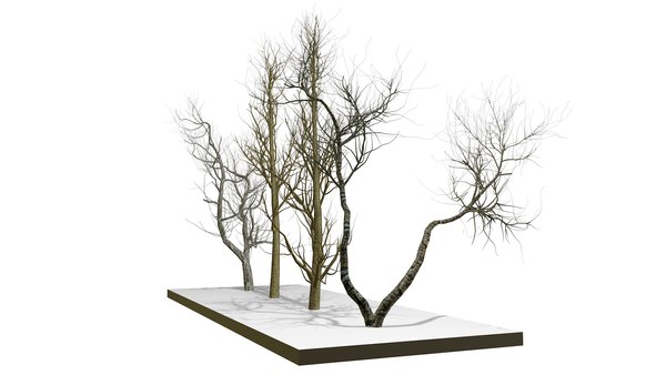 Bare tree 3D model - TurboSquid 1693445