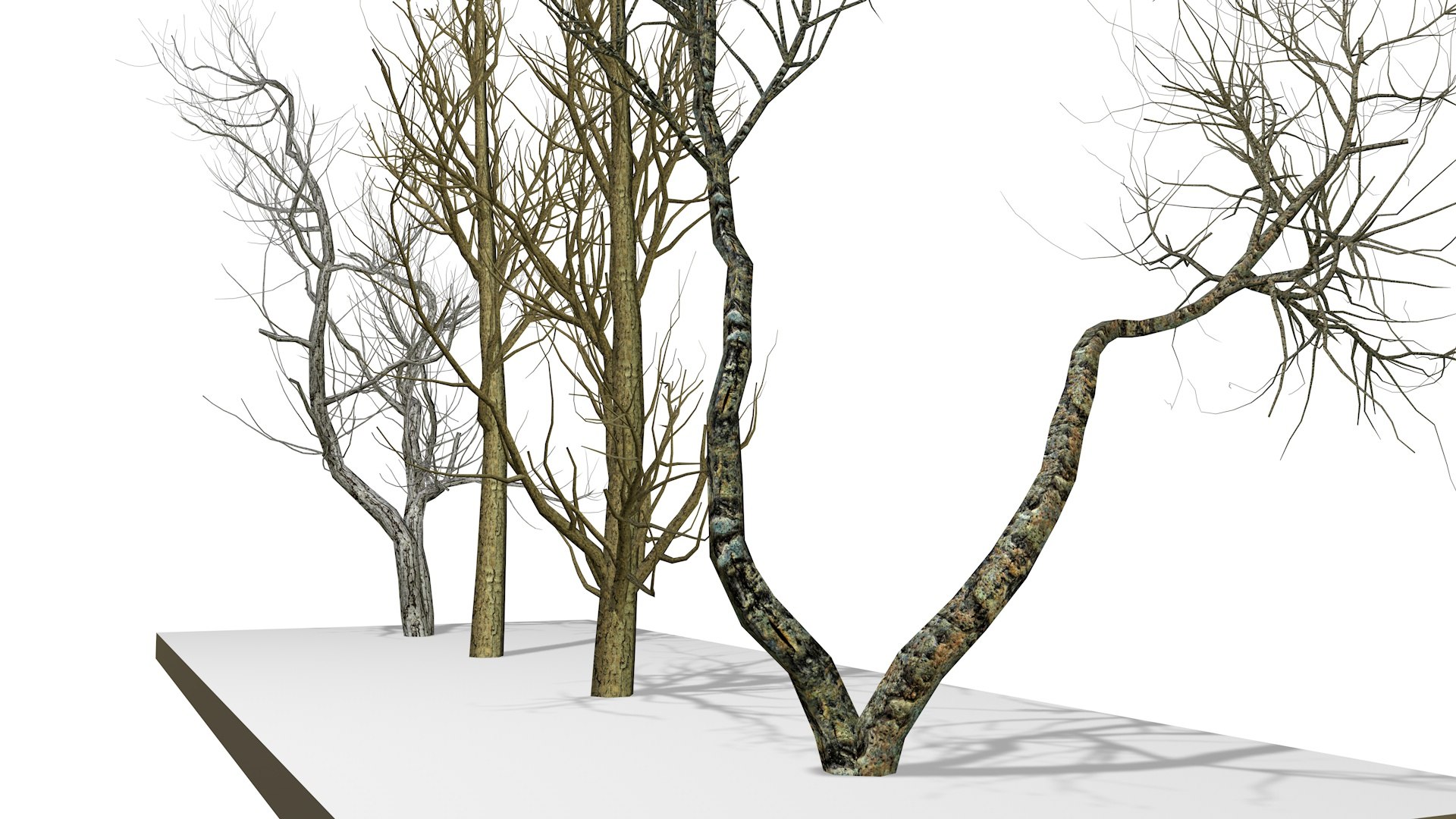 Bare Tree 3D Model - TurboSquid 1693445