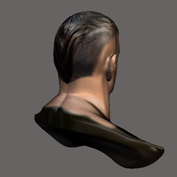 3d model male head character