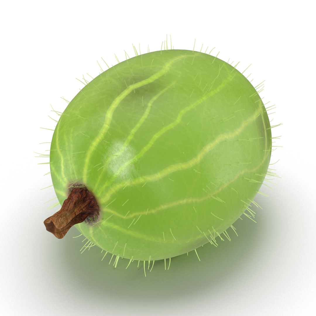 c4d gooseberry berry