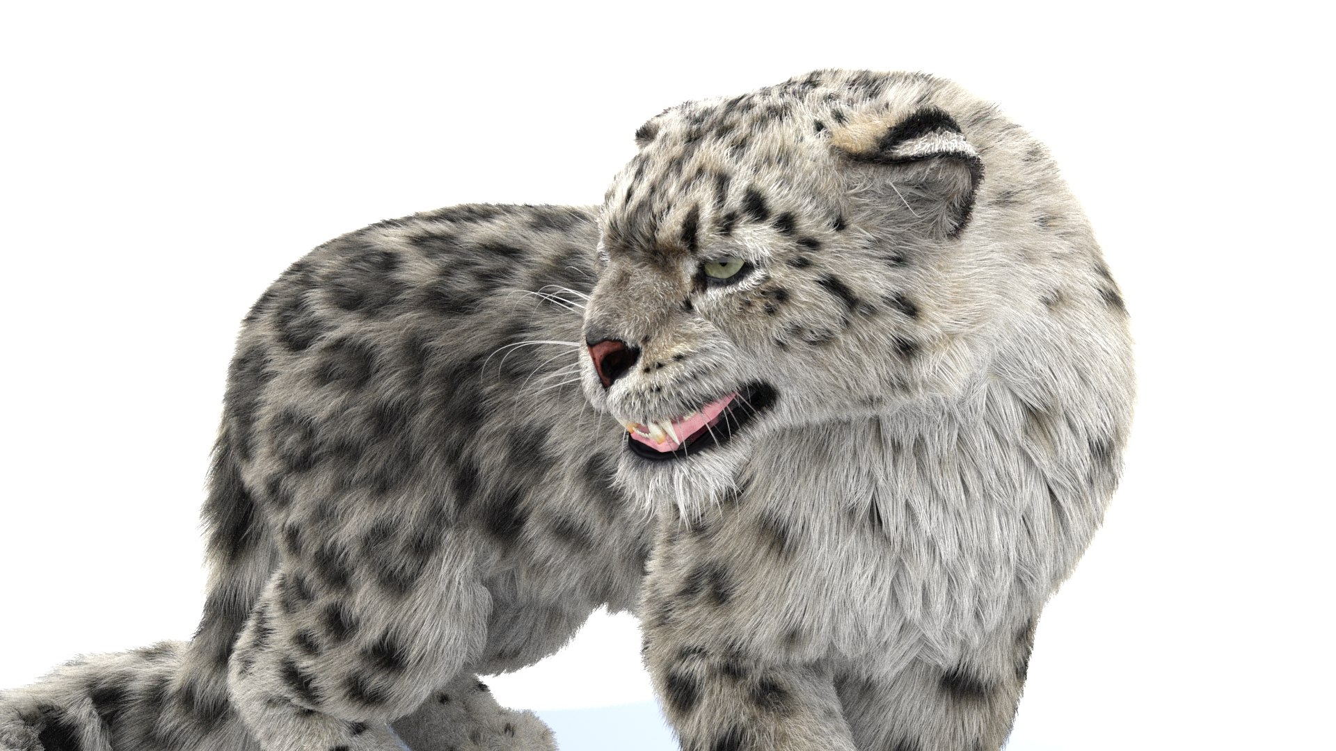 Snow Leopard 2 Rigged 3D - TurboSquid 1421475