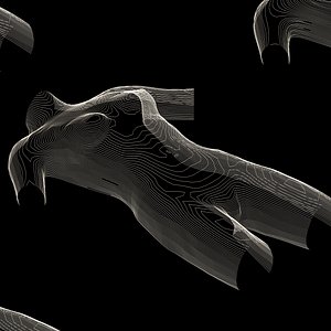 Complete Female Anatomy 3D Models for Download | TurboSquid