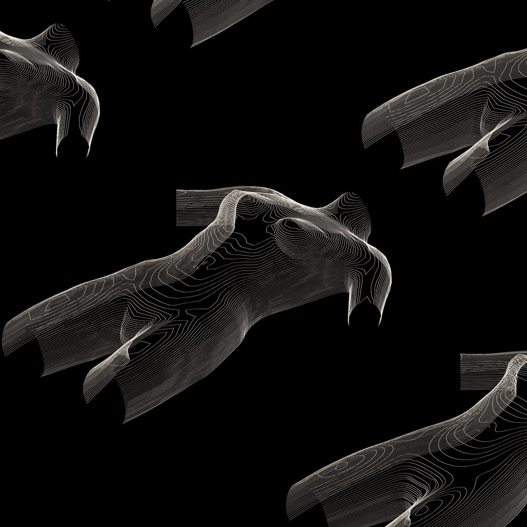 Female Body - Contour Lines - Varying Level Of Smoothness 3D Model ...