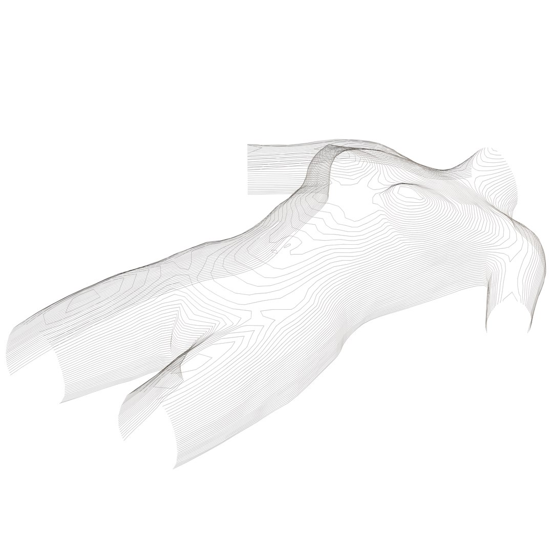 Female Body - Contour Lines - Varying Level Of Smoothness 3D Model ...