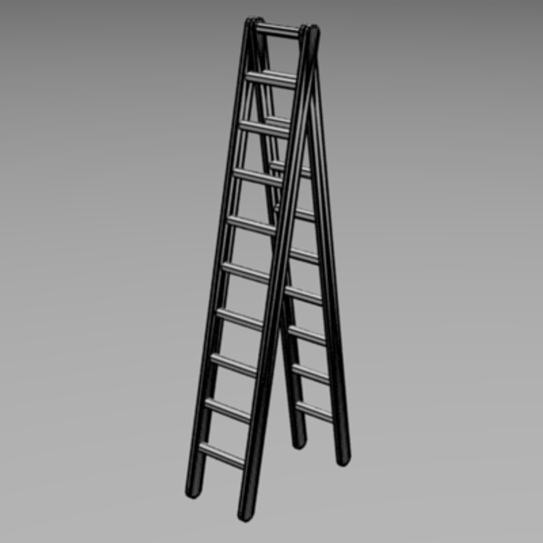 Ladder Stepladder 3d Obj