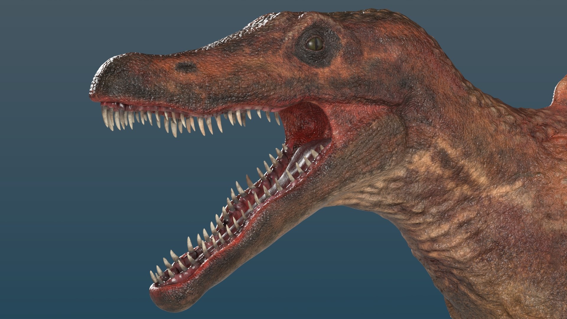 3D Spinosaurus 3D Model - TurboSquid 2120273
