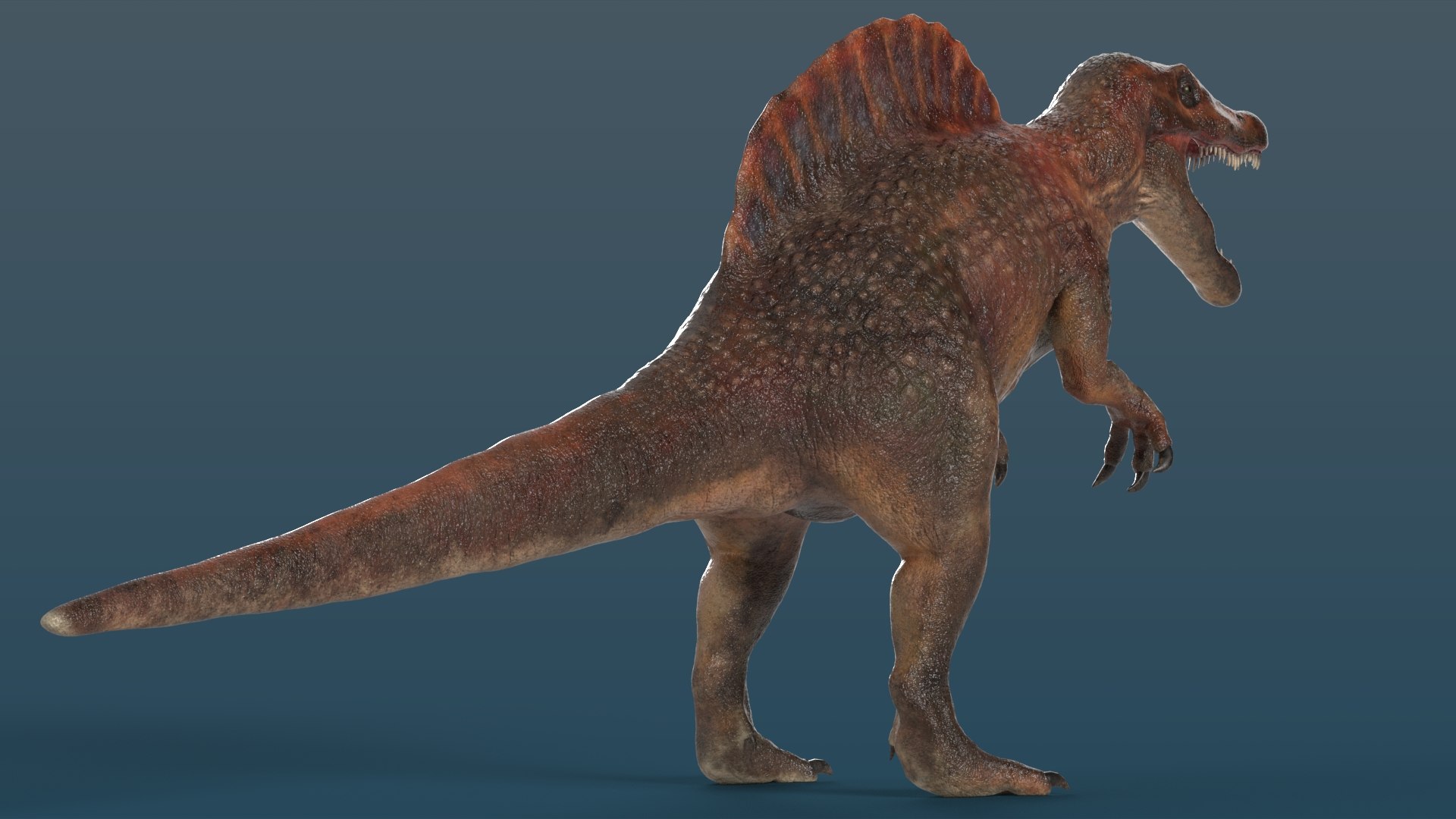 3D Spinosaurus 3D Model - TurboSquid 2120273