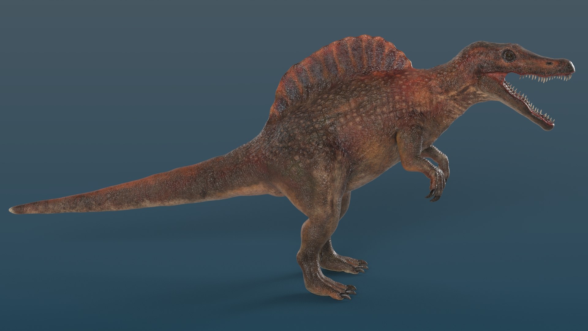 3D Spinosaurus 3D Model - TurboSquid 2120273