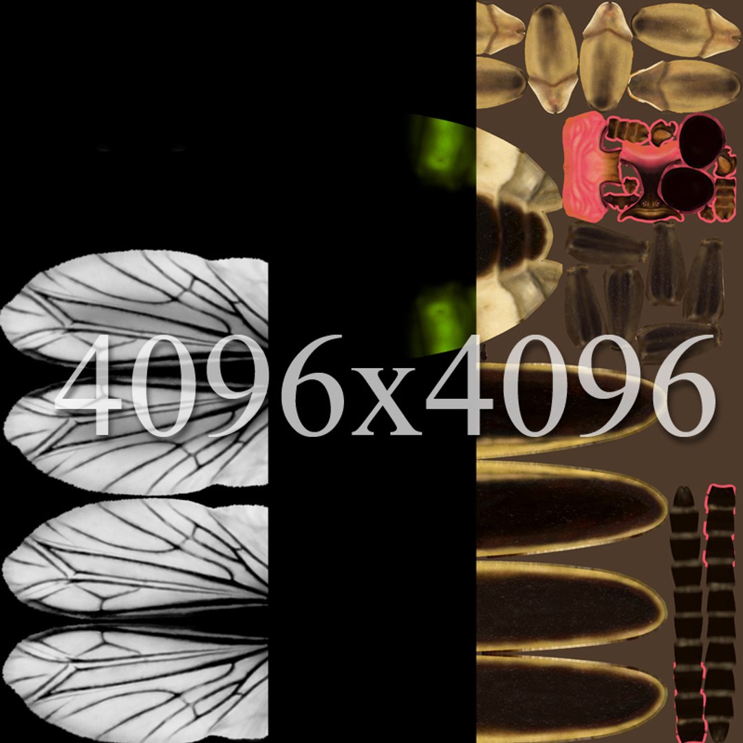 Max Firefly Bug Flying Pose